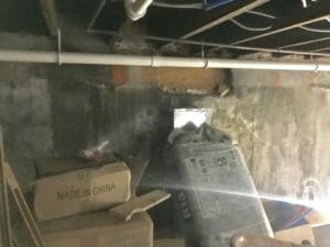 Our Creepy Basement is Getting a Makeover (Part 1) | Beginning in the ...